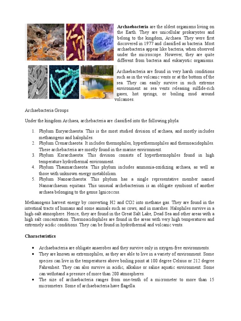 Archaebacteria Are The Oldest Organisms Living On The Earth | PDF ...