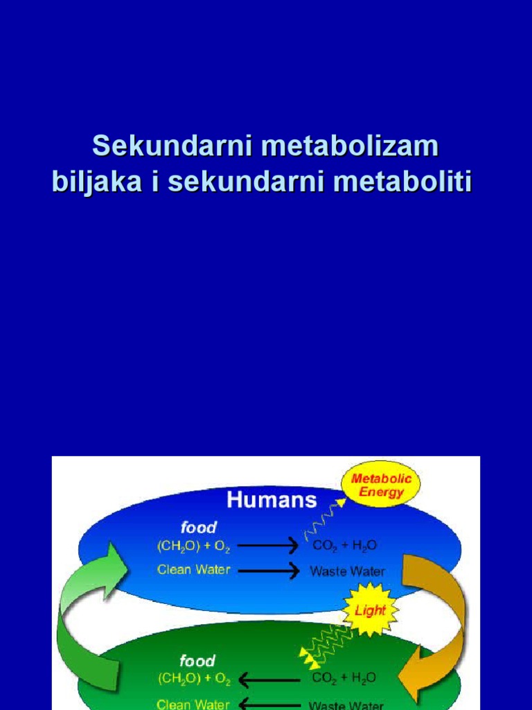 Sekundarni metabolizam