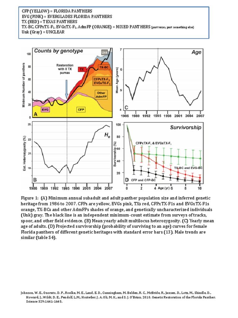 Genetic Heritage and Population Trends of the Florida Panther from 1986 ...