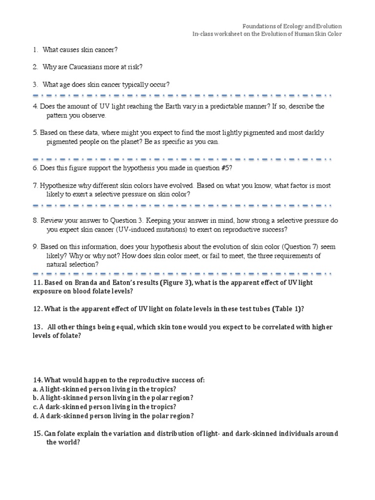 Evolution of Skin Color | PDF | Human Skin Color | Natural Selection