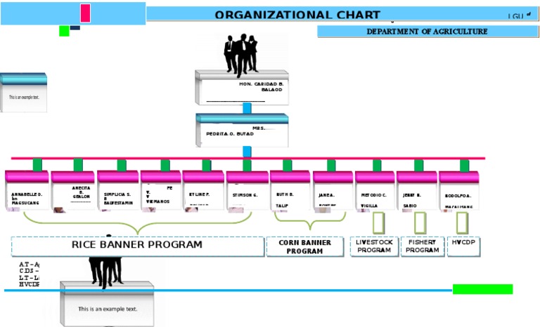 ORGanizational Chart | PDF | Agriculture | Food Industry