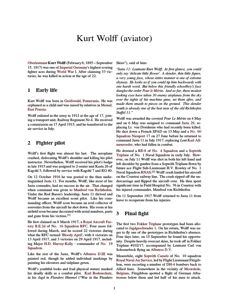 WW1 Ace - Kurt Wolff (Aviator) | PDF | Air Forces | Aircraft