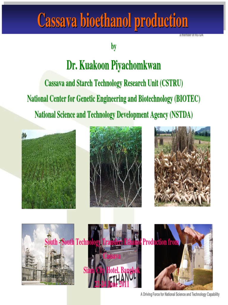 Cassava Bioethanol Production Process | PDF | Sugarcane | Starch