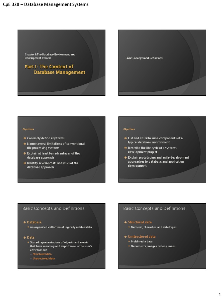 Chapter I - The Database Environment and Development Process | PDF | Databases | Software ...