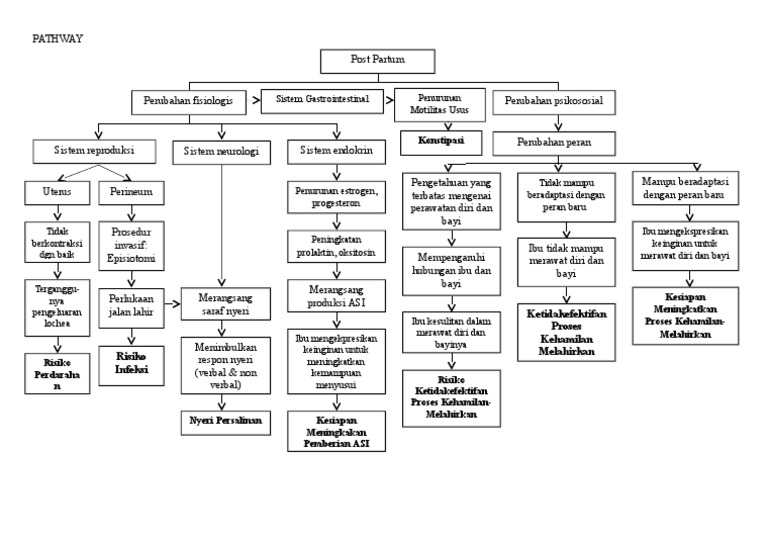 Pathway Postpartum NEW FIX | PDF