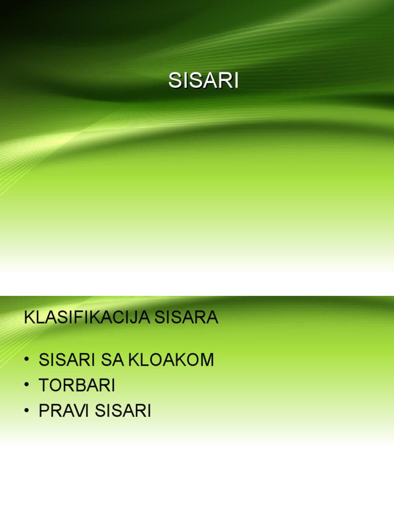 SISARI | PDF