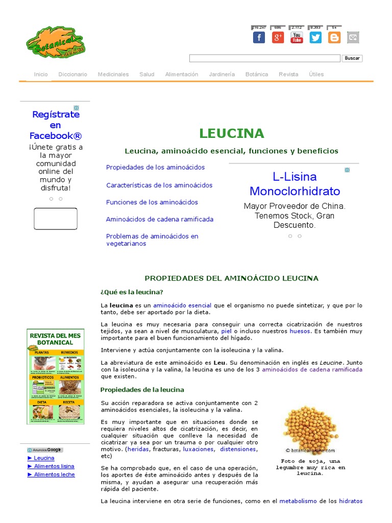 Leucina | PDF | Diabetes mellitus | Alimentos