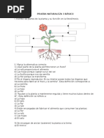 Guía N°3 Partes y Necesidades de Una Planta Ciencias Naturales Tercero ...