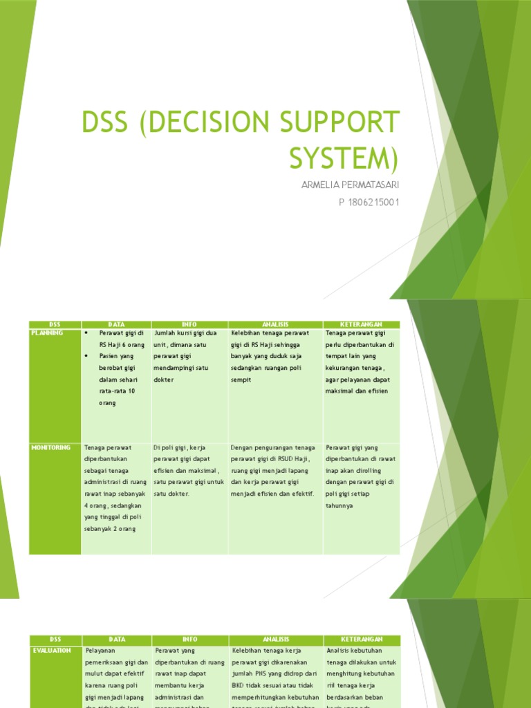 Dss (Decision Support System) | PDF