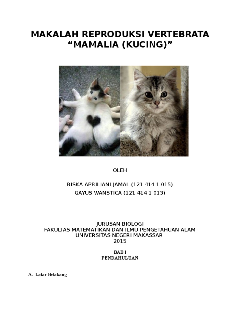 Makalah Reproduksi Kucing | PDF