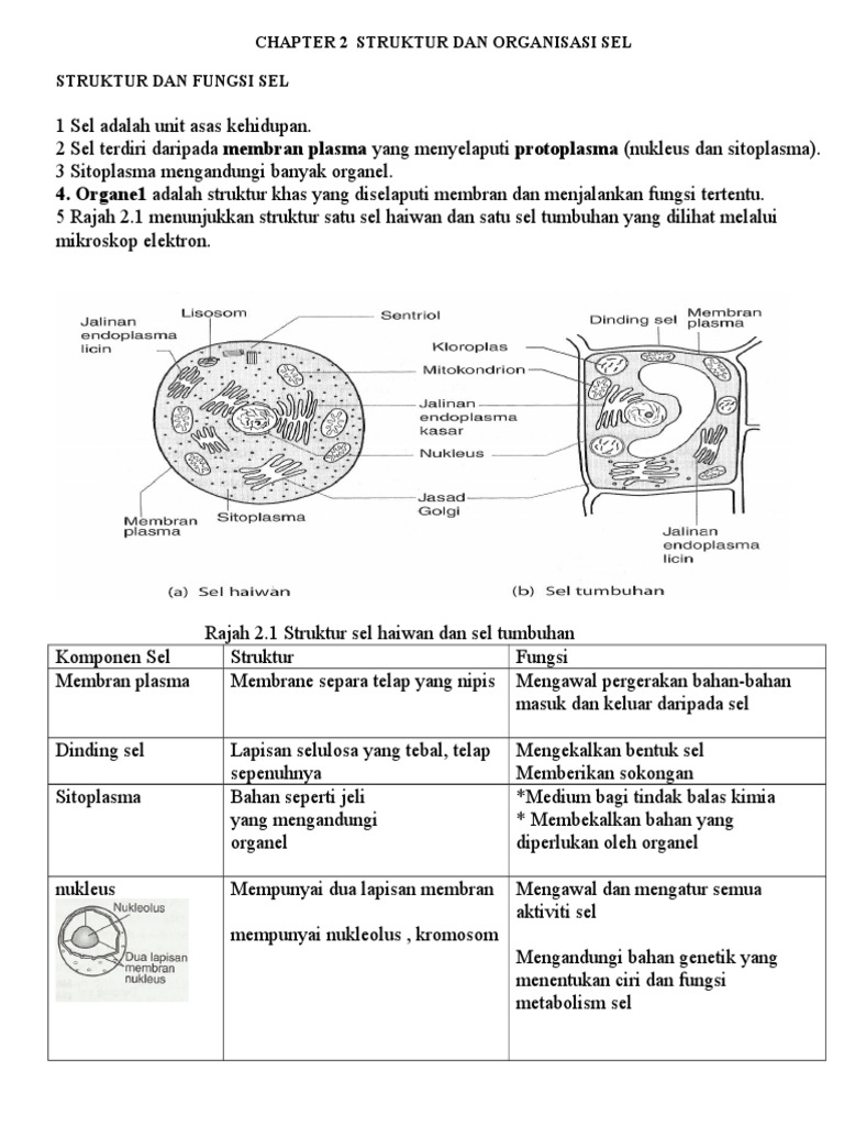 Form 4 Topik 2 - Struktur Dan Organisasi Sel | PDF