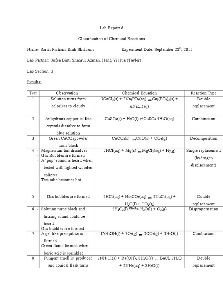 Lab Report 6 | PDF | Chemical Reactions | Sulfate