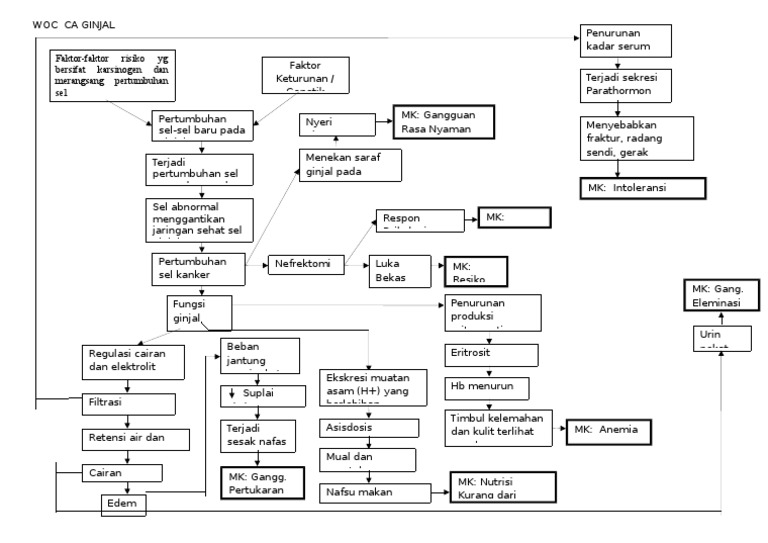 Woc CA Ginjal Fix | PDF
