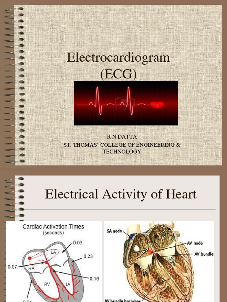 Ecg | Electrocardiography | Physiology