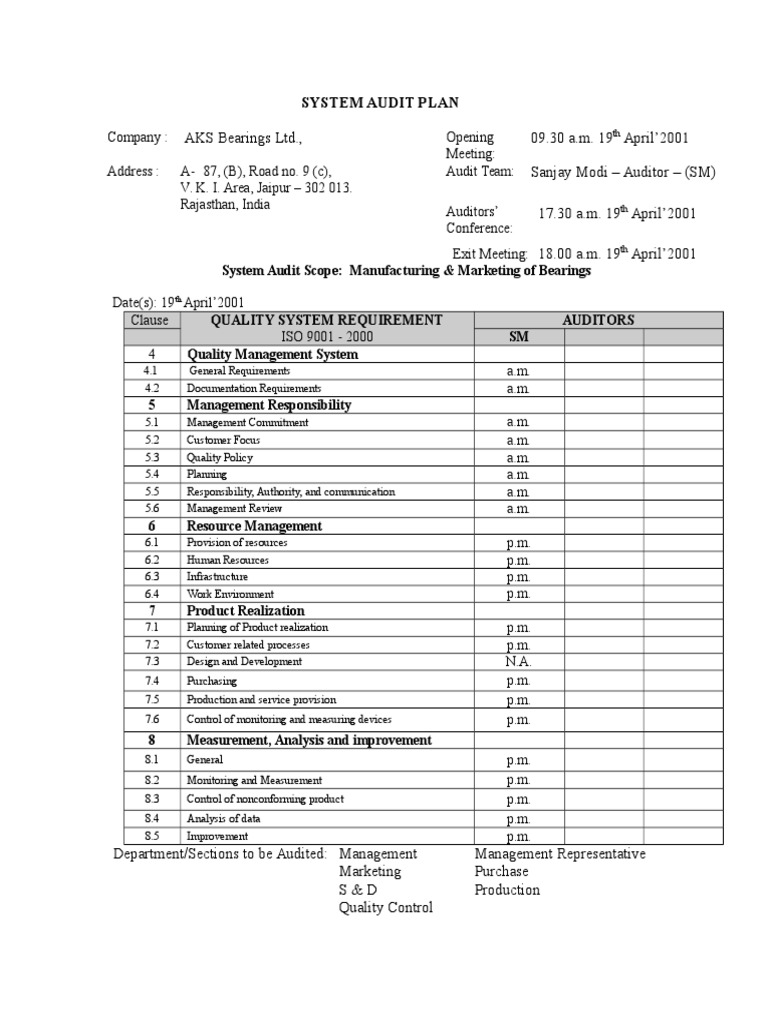 Audit Plan 2000 | PDF