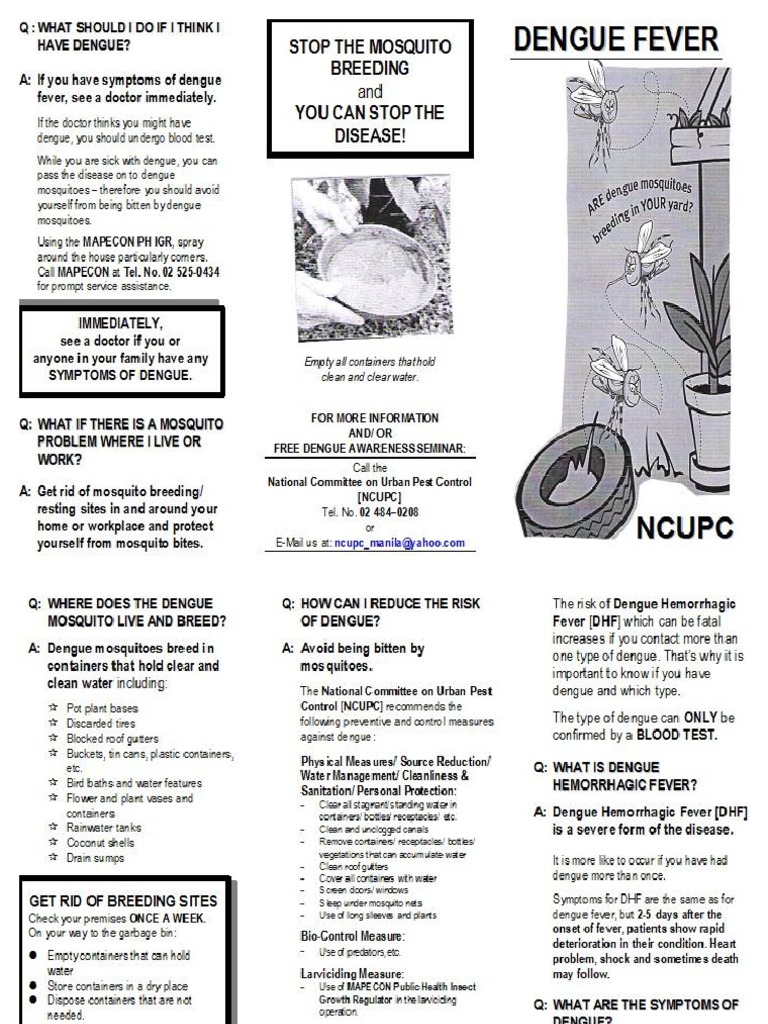 Dengue Fever Brochure | PDF