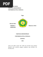 Panduan Tatalaksana Hordeolum | PDF