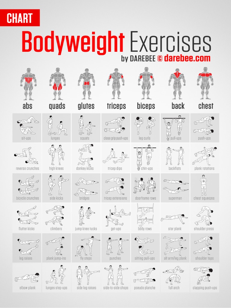 Bodyweight Exercises Chart PDF | PDF