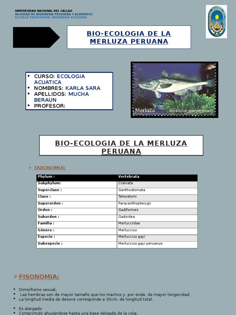 Bioecología de la Merluza Peruana | PDF | Oceanografía | Geografía Física