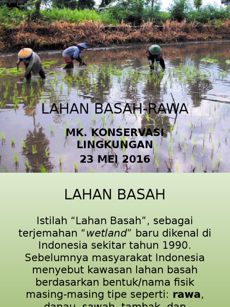 Lahan Basah Rawa | PDF | Griya & Taman | Teknologi & Rekayasa