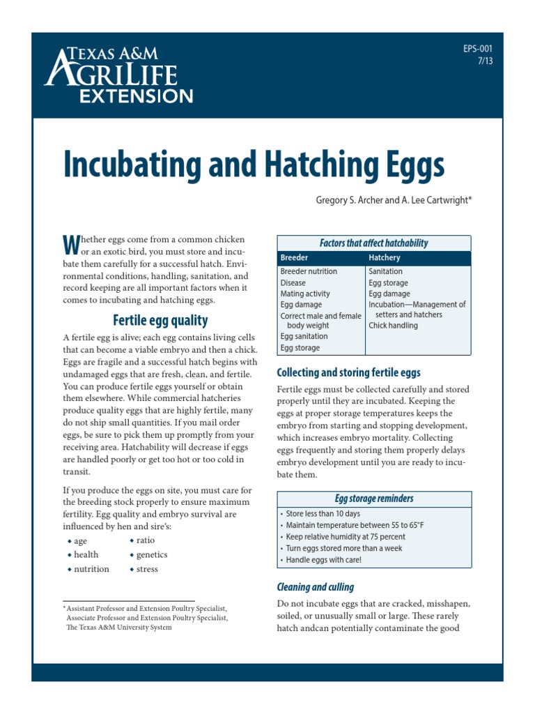 EPS 001 Incubating and Hatching Eggs | PDF | Chicken | Egg