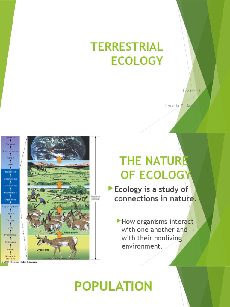 Terrestrial Ecology Lecture 1 | Food Web | Environmental Science