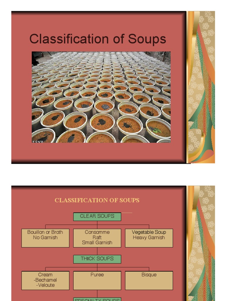 Classification of Soups Slides | PDF | Soup | Broth