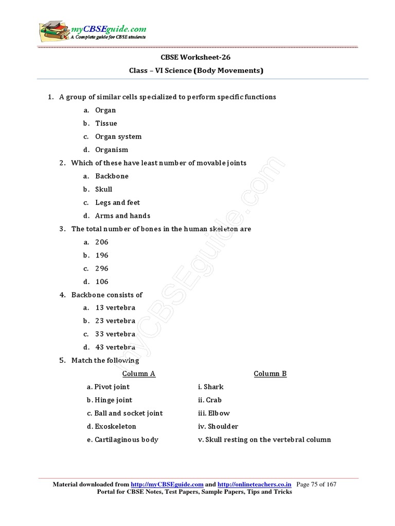 CBSE Worksheet-26 Class - VI Science (Body Movements) | PDF