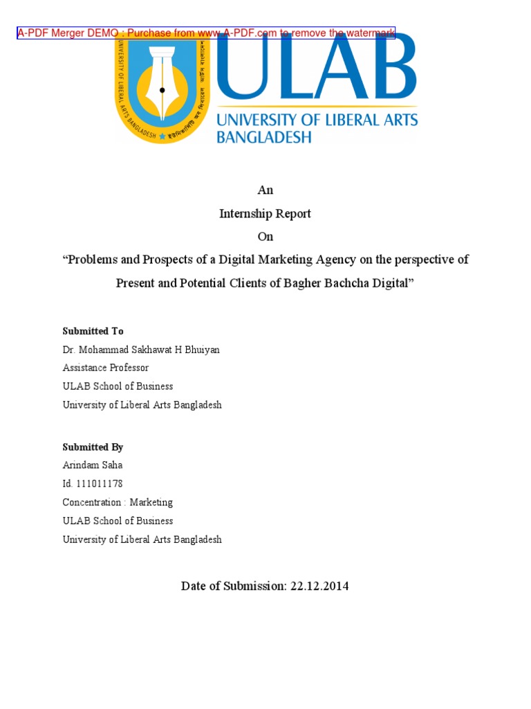 Intenship Report On Digital Marketing Agency | PDF | Digital Marketing ...