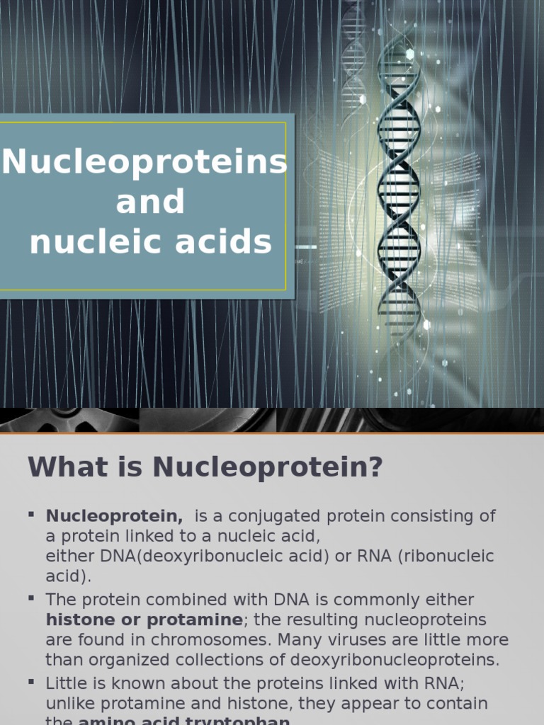 Nucleoprotein & Nucleic Acid | PDF | Nucleic Acids | Dna