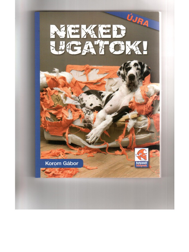 Korom Gabor Neked Ugatok | PDF
