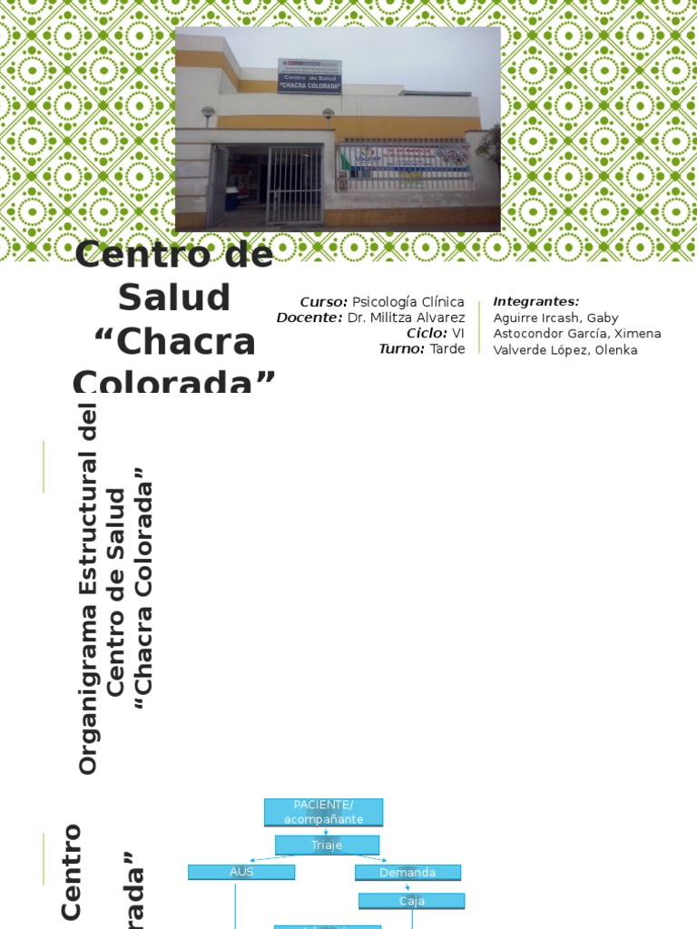 Centro de Salud Chacra Colorada | PDF | Hospital | Enfermería