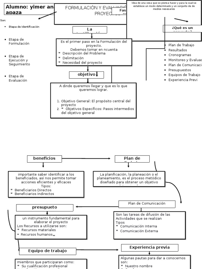 Mapa Conceptual (Formulacion y Evaluacion de Proyectos) | PDF ...