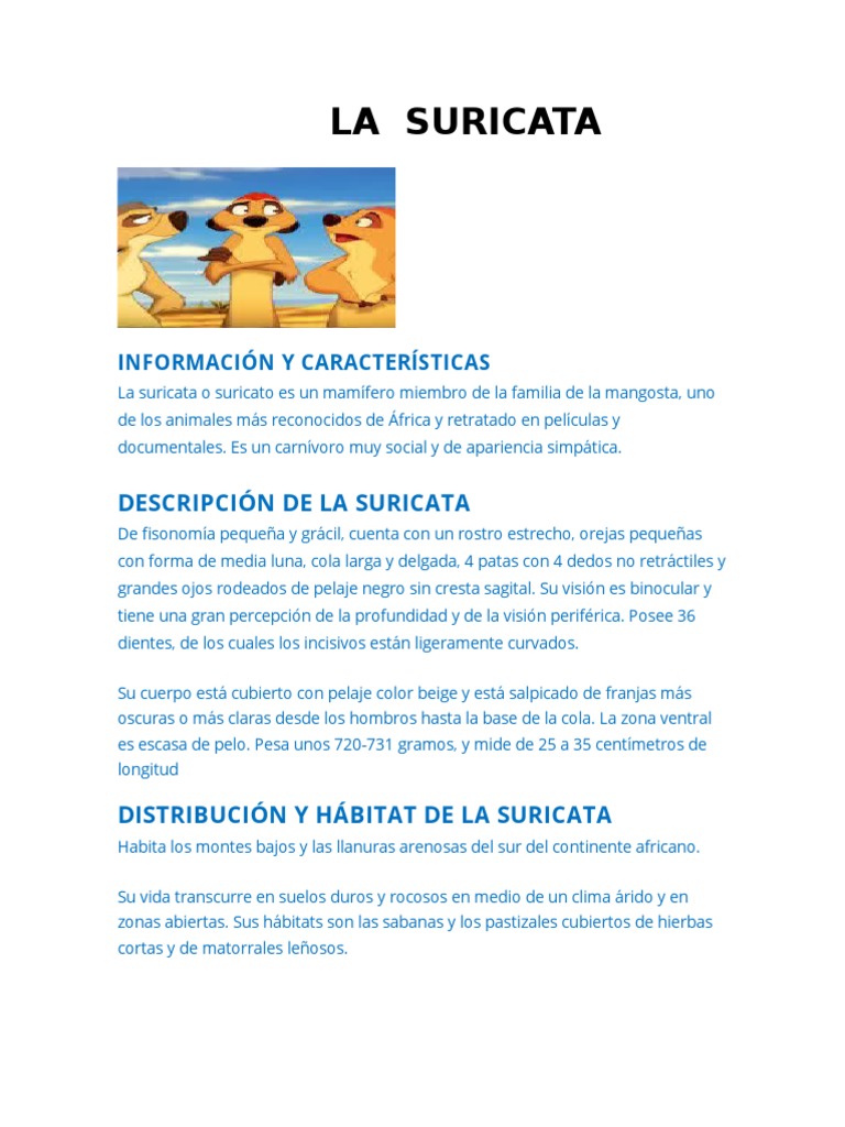 La Suricata | PDF | Suricata | Naturaleza