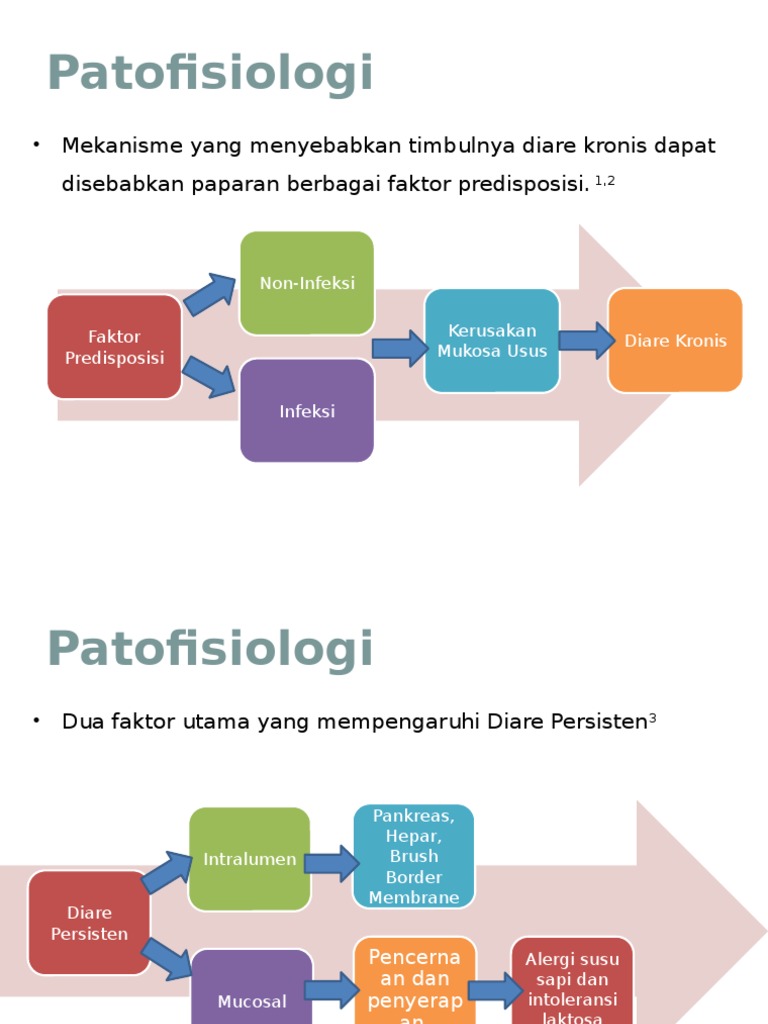 Diare | PDF | Kesehatan Holistik | Sains & Matematika