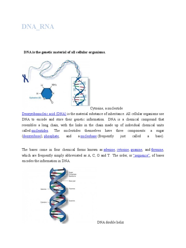 Dna - Rna: DNA Is The Genetic Material of All Cellular Organisms | PDF ...