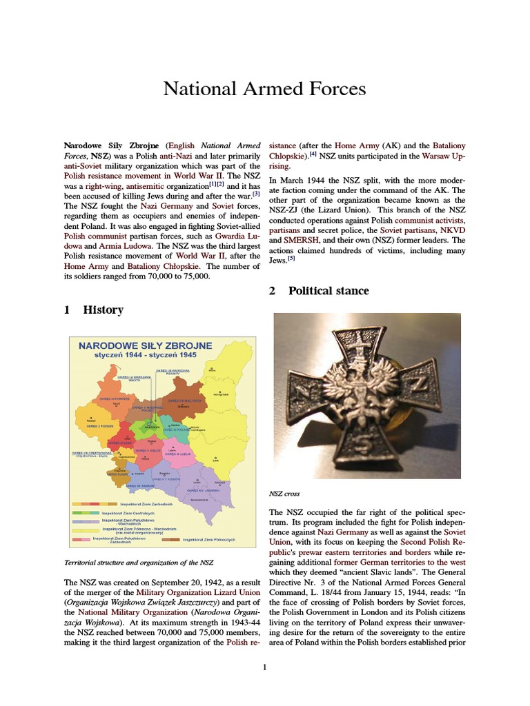 WW2 POLAND - NSZ National Armed Forces | PDF | Global Conflicts ...