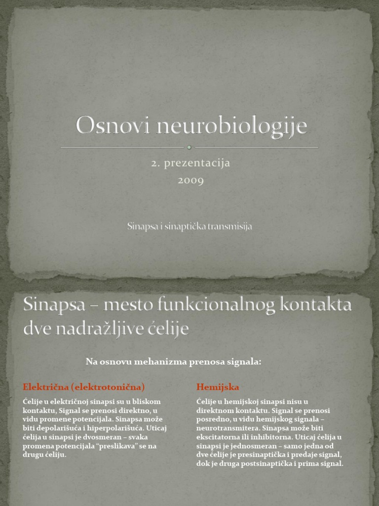 Sinapsa I Sinapti-Ìka Transmisija | PDF