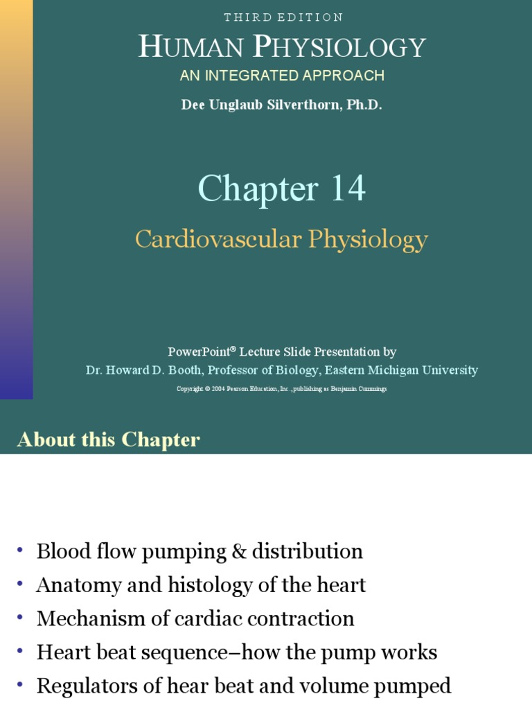 Chapter 14 Cardiology Human Cardiovascular System | PDF | Circulatory ...