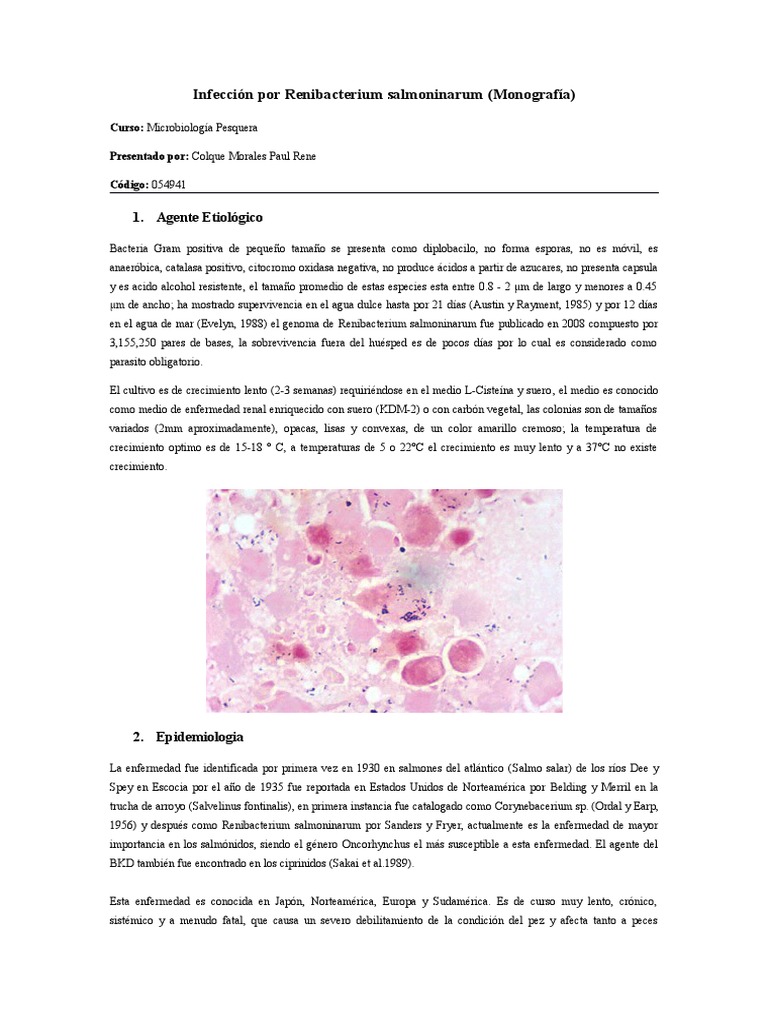Renibacterium salmoninarum | Las bacterias | Aluminio