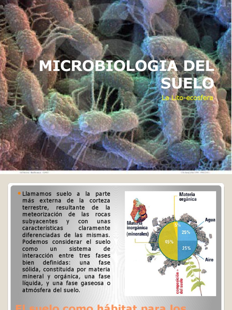 Microbiologia Del Suelo | PDF | Microorganismo | Suelo
