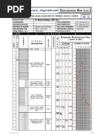 Contoh Borlog | PDF | Pengujian | Ilmu Tanah