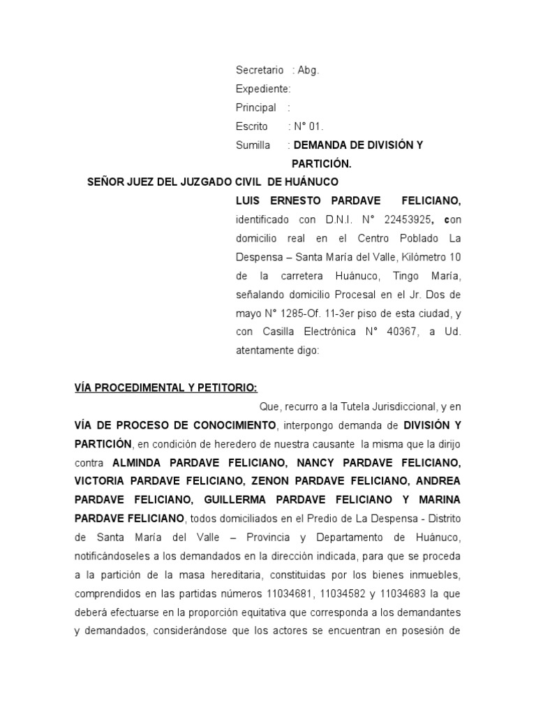 Demanda de Division y Particion | Herencia | Demanda judicial