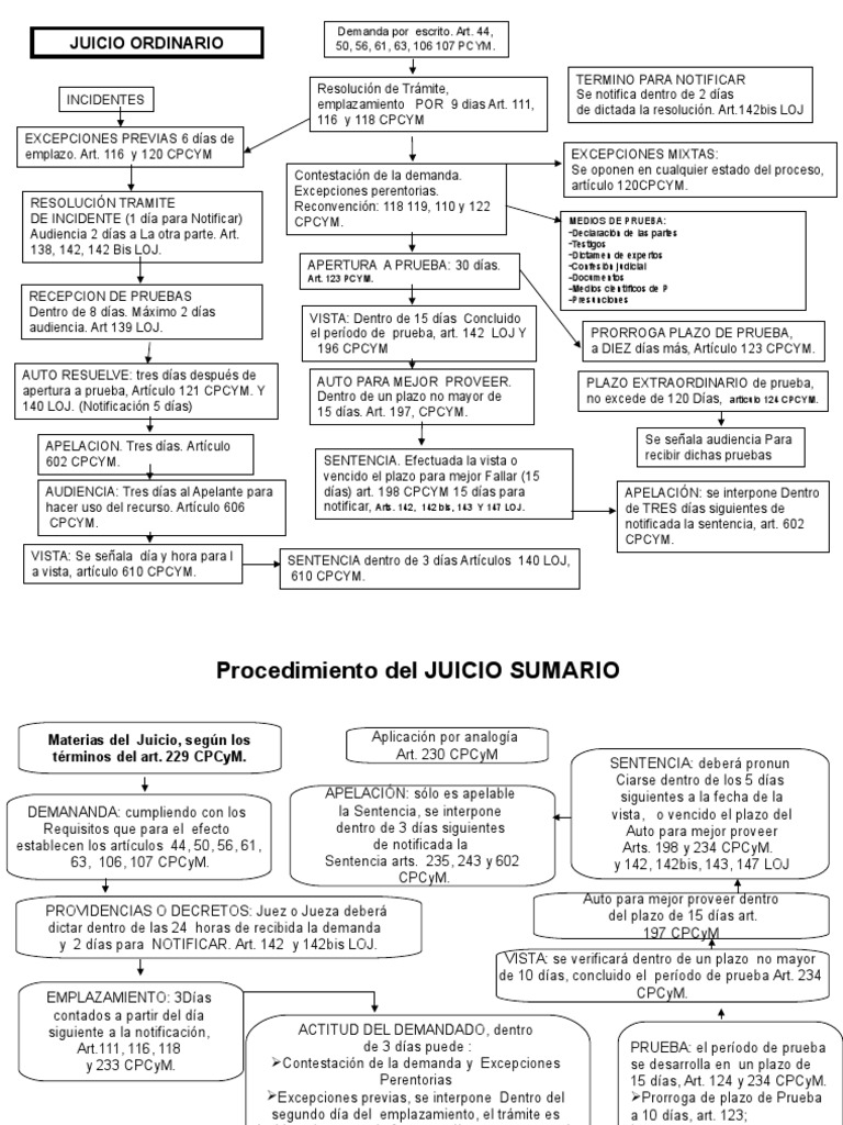 Resumen Esquemas Procesal Civil | Sentencia (Ley) | Demanda judicial