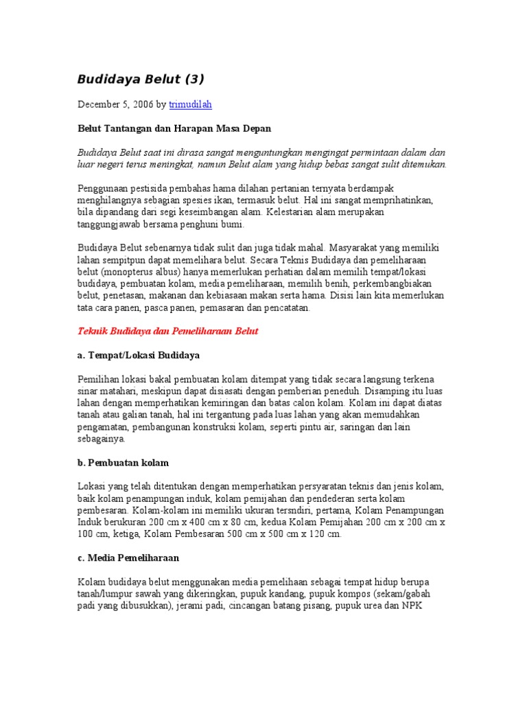 Seluk Beluk Belut | PDF