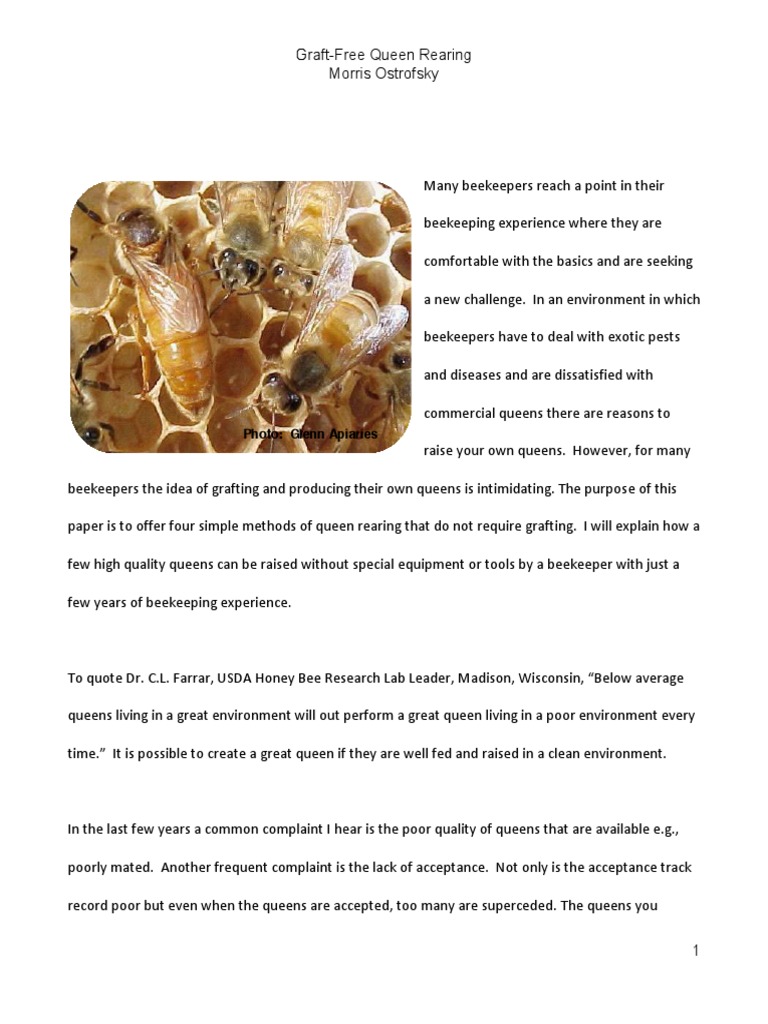 Graft Free Queen Rearing Morris Ostrofsky PDF | PDF | Beehive | Beekeeping