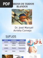 Principales Signos Abdominales | PDF | Tracto gastrointestinal | Abdomen