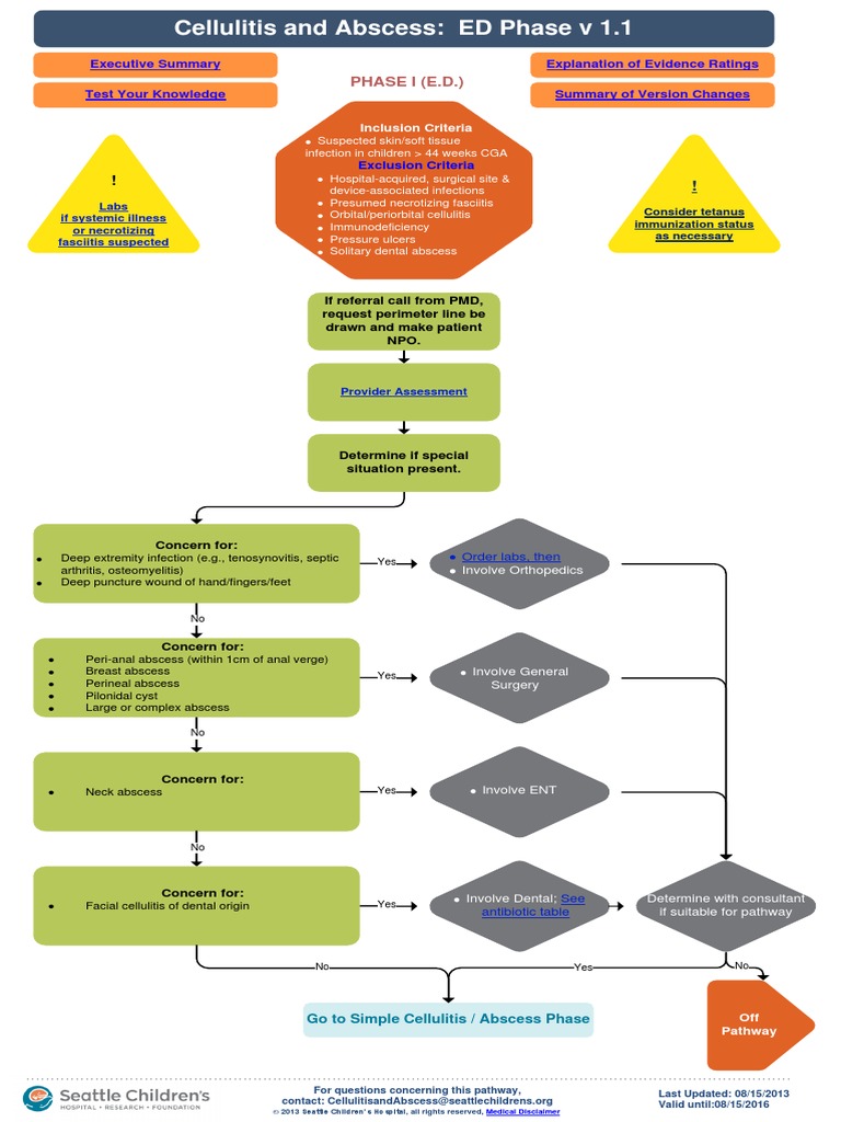 Cellulitis and Abscess Pathway | PDF | Methicillin Resistant ...