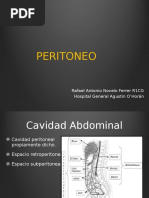 Repliegues y ligamentos peritoneales | PDF | Abdomen | Estómago