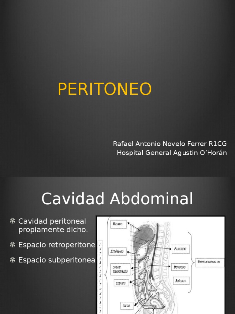 Anatomía y Función del Peritoneo | PDF | Peritoneo | Abdomen